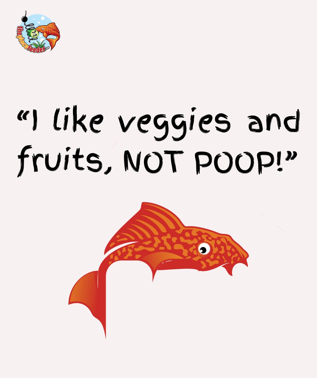 Do Plecos Eat Fish Poop? – Pleco Feeder