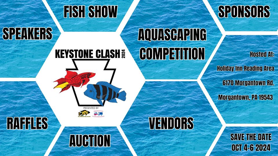 The Pleco Feeder Sponsors Keystone Clash 2024